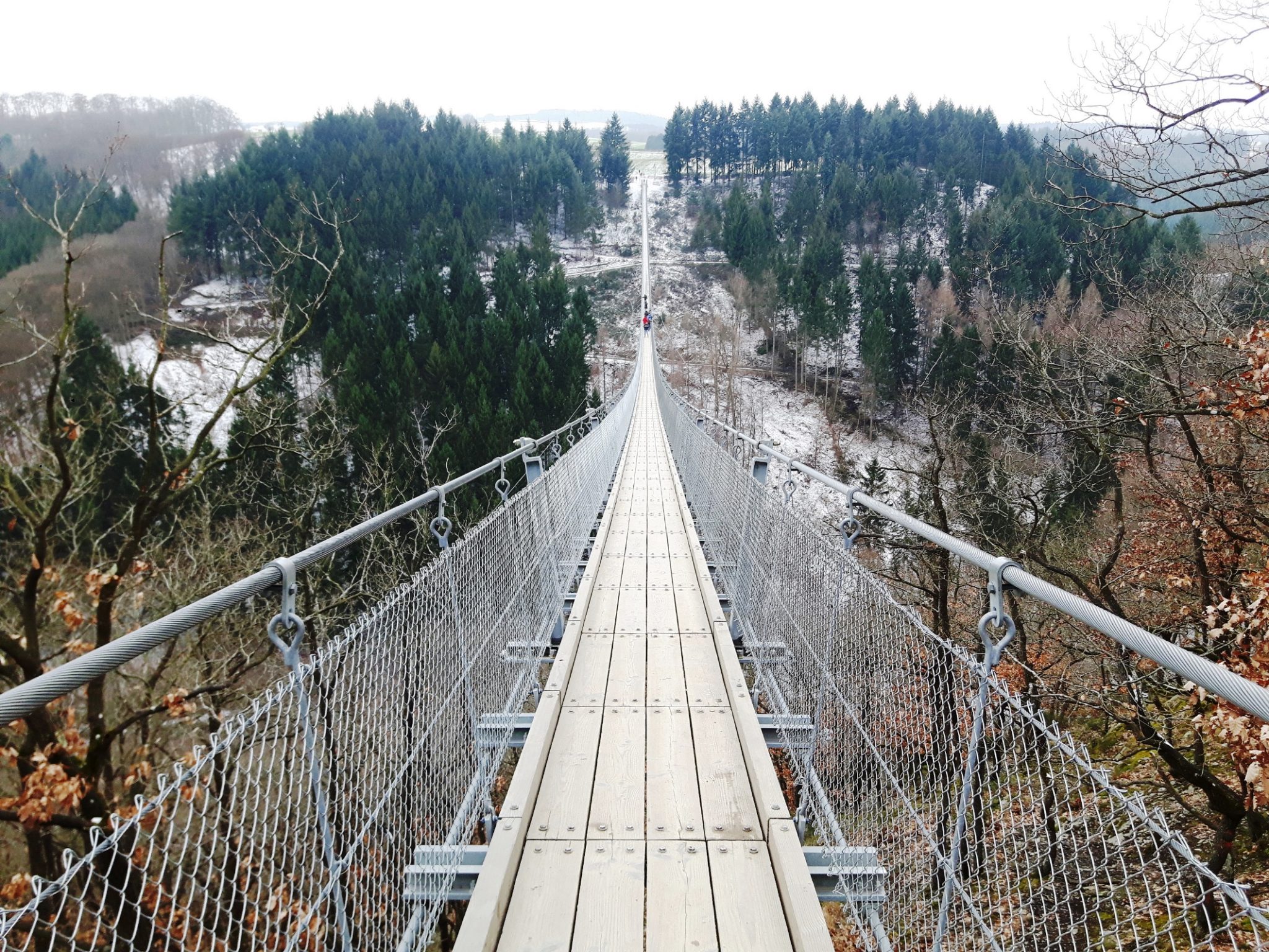 Ausflugsziel im Hunsrück: Die Hängeseilbrücke Geierlay