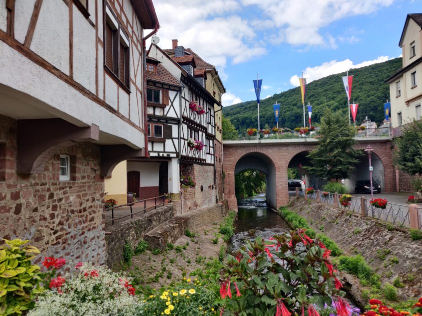 Wandern in Neckarsteinach: Die Vier-Burgen-Stadt