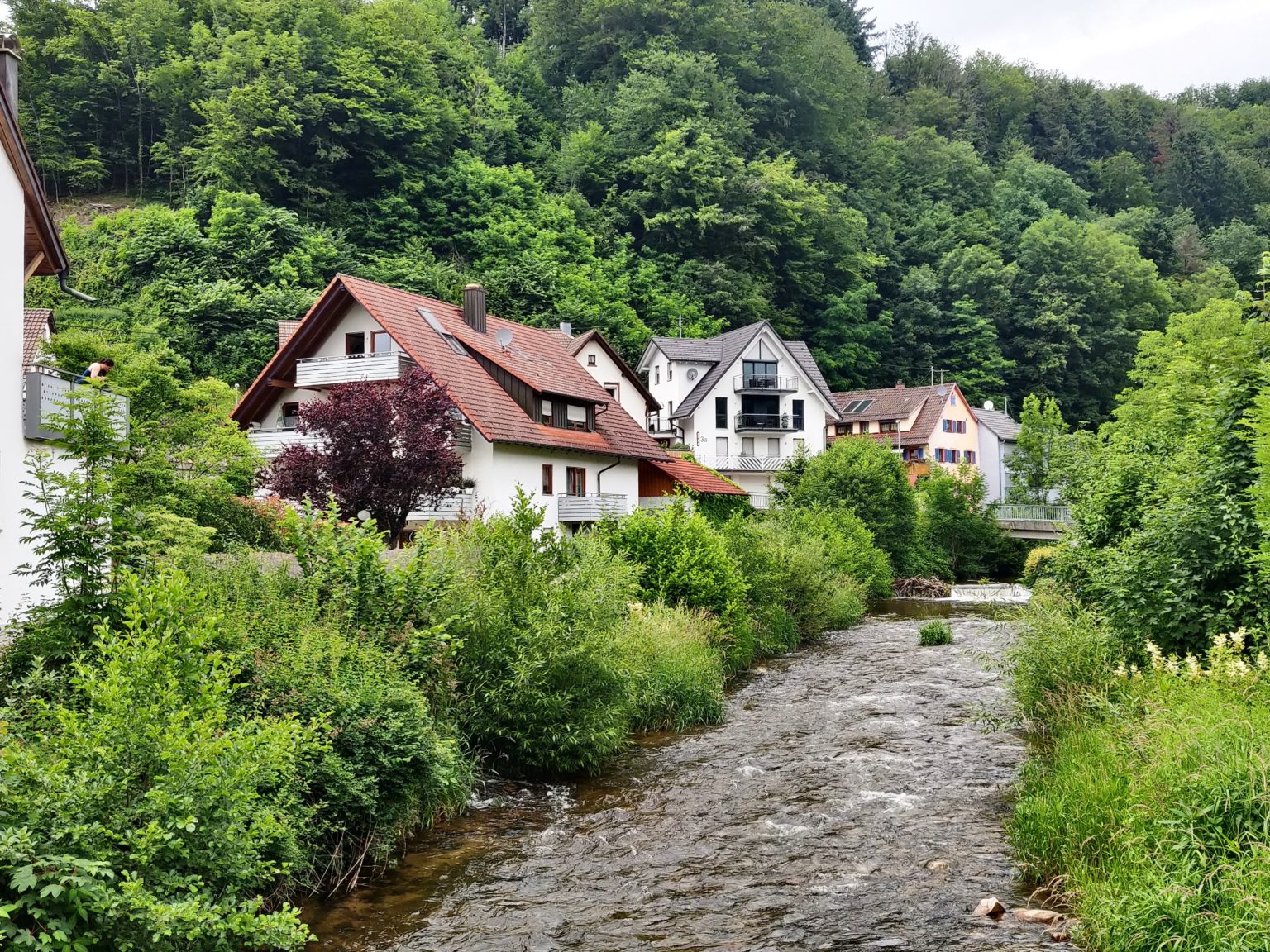 Das Elztal - Urlaubsidyll im Schwarzwald